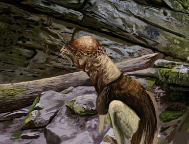 Discuss Everything About Dinosaurs Battle World Championship Wiki | Fandom