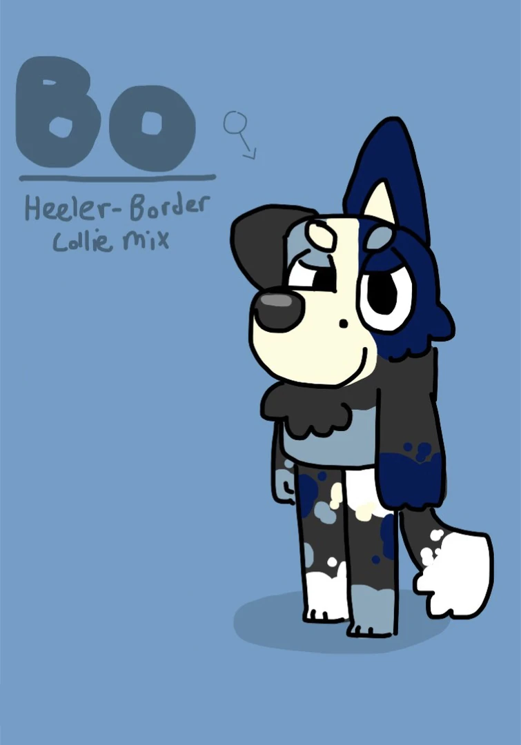 Another Bluey OC | Fandom