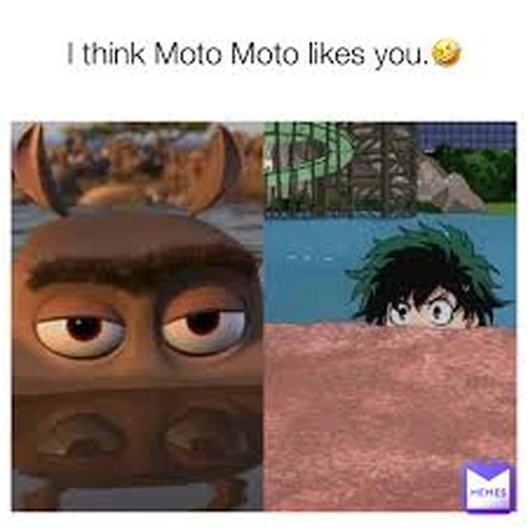 Memes cause why not? | Fandom