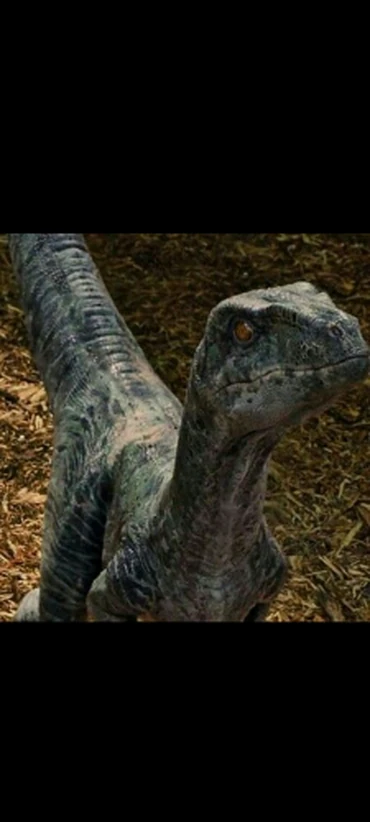 Who's the best velociraptor? | Fandom