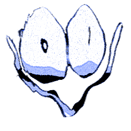 B-35 Remake | Fandom