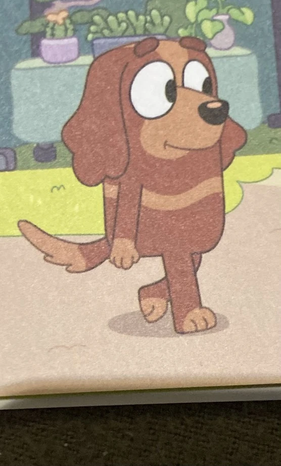 Background character contributions from the "Where's Bluey?" book | Fandom