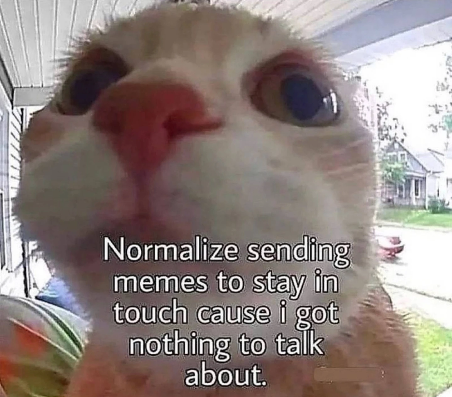 I feel personally called out | Fandom