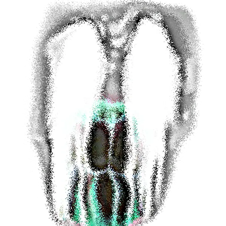 guys look at these super cool entities I made | Fandom