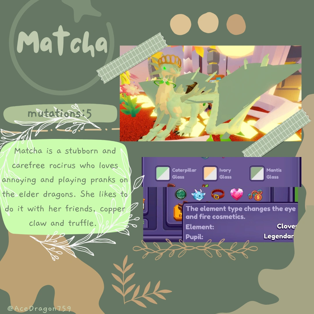 I made an infocard for matcha! | Fandom