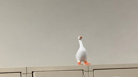 Not a rickroll | Fandom