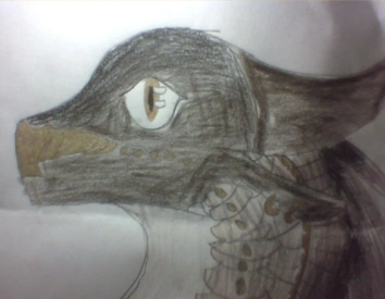 NightWing-MudWing Raffle! | Fandom