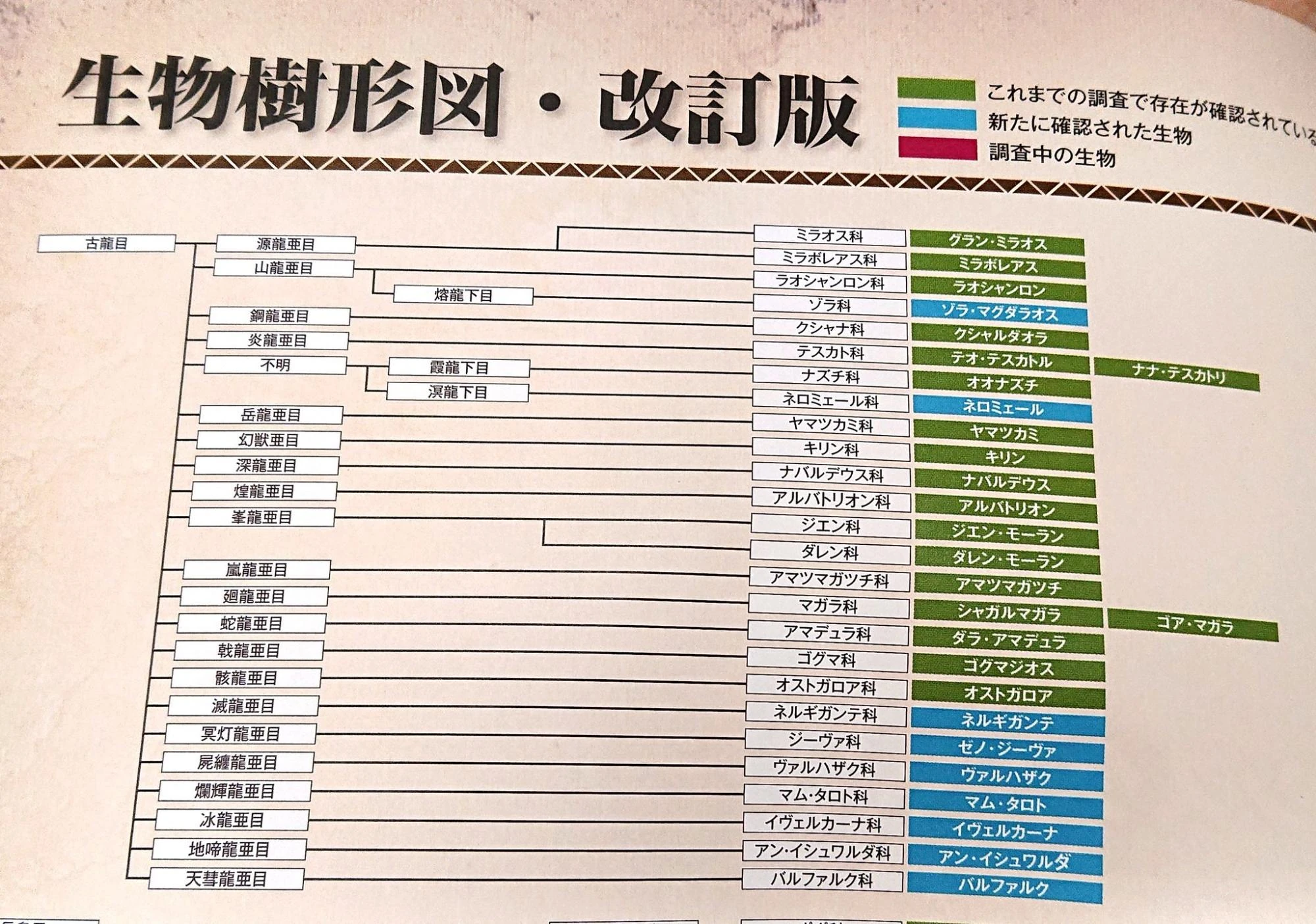 Updated phylogenetic tree | Fandom