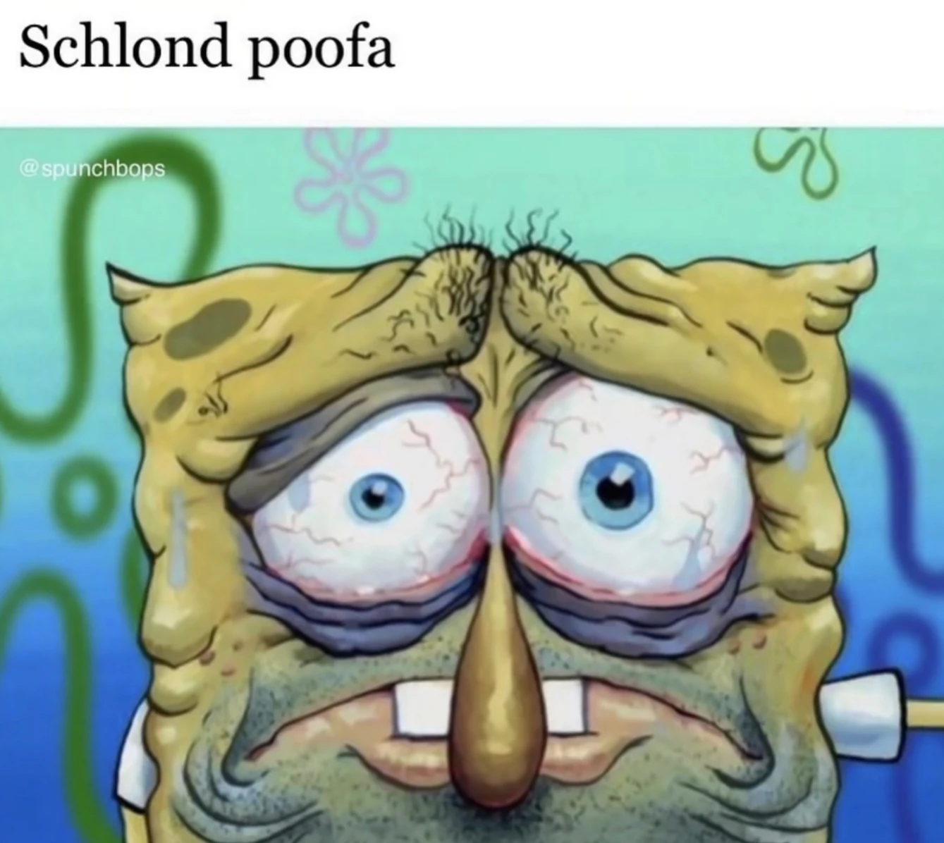 More spunch bob | Fandom