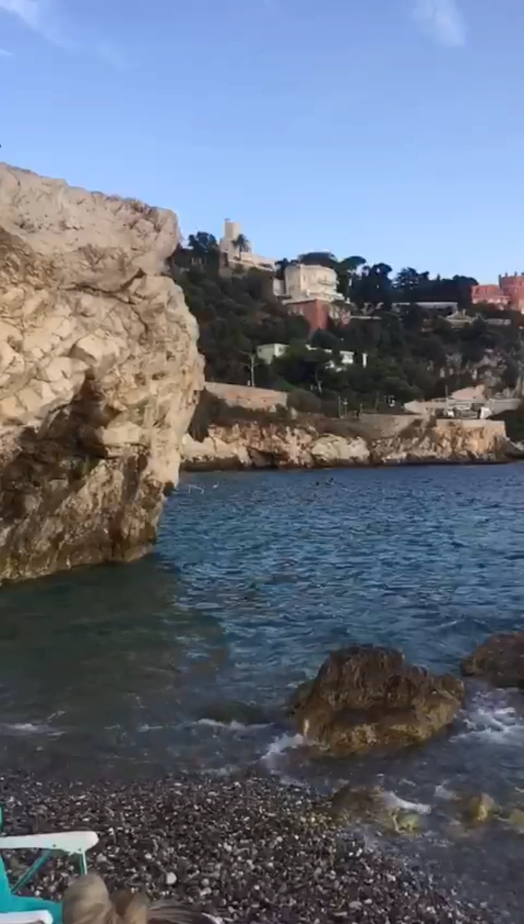 does anyone... | Fandom