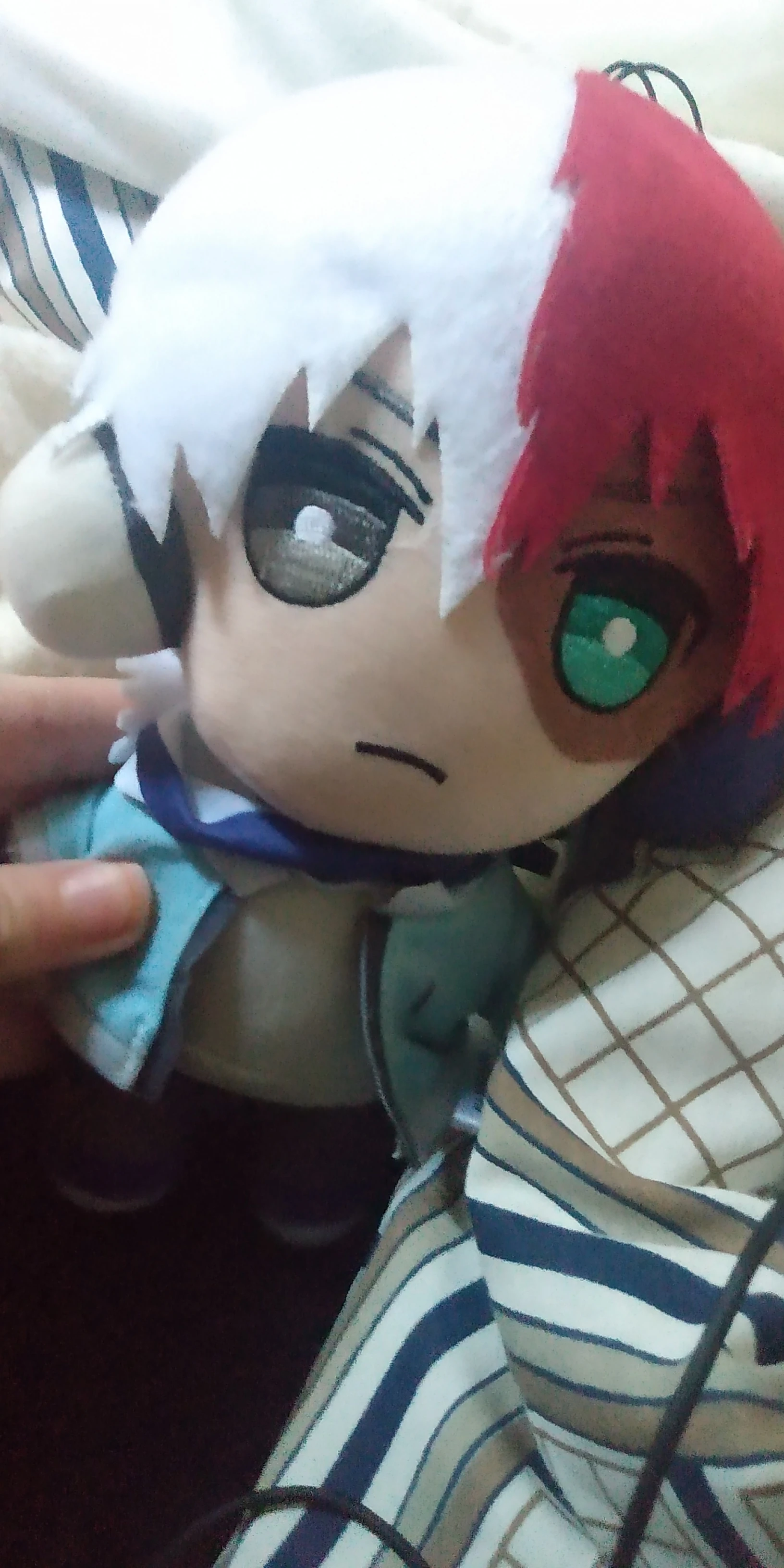 My todoroki plush lol | Fandom