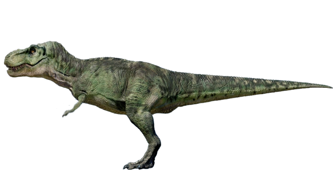 Thoughts on the Bull T-rex | Fandom