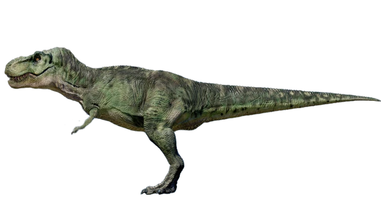 Thoughts on the Bull T-rex | Fandom