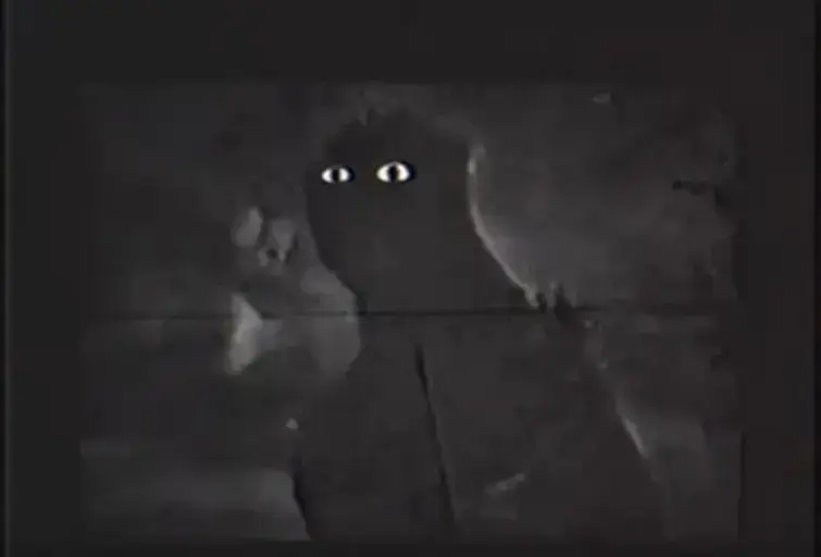 Miss Circle eepy | Fandom