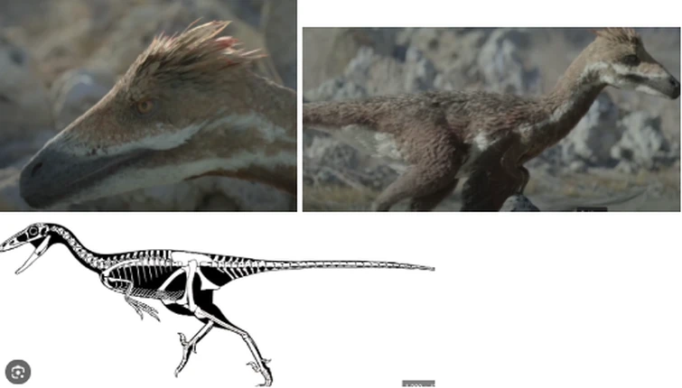 Discuss Everything About Dinopedia | Fandom