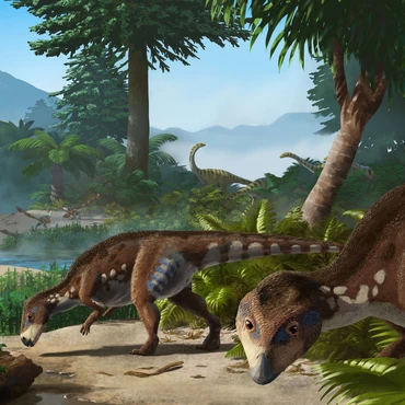 Discuss Everything About Dinopedia | Fandom