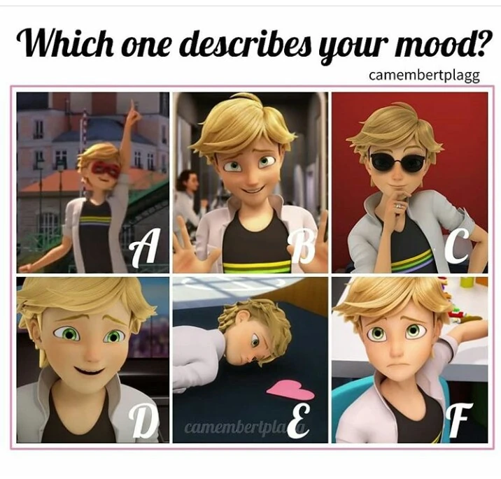 Which one?? Comment | Fandom