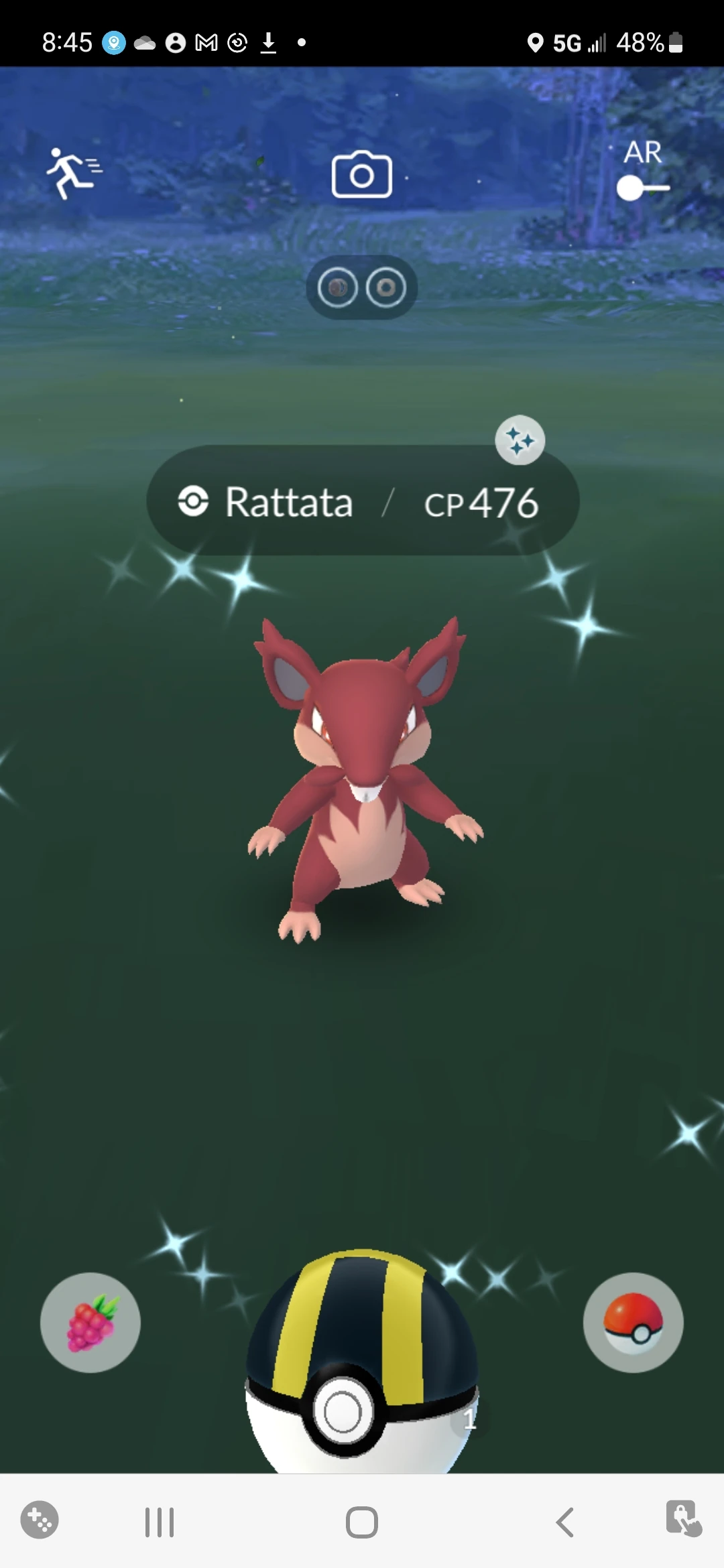 Second Shiny Alolan Rattata, still no Shiny Kanto Rattata. And 6 ...