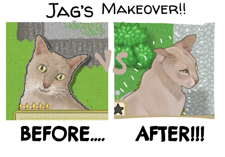 Cat Makeovers!!! | Fandom
