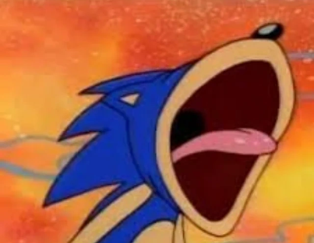 What is Sonic doing/saying? (JOKE) | Fandom