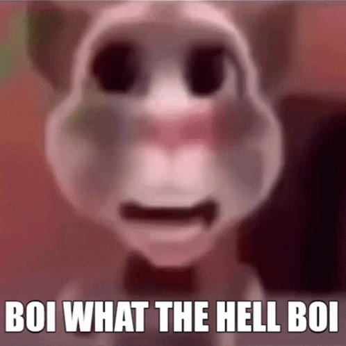 Boi what the hell boi | Fandom