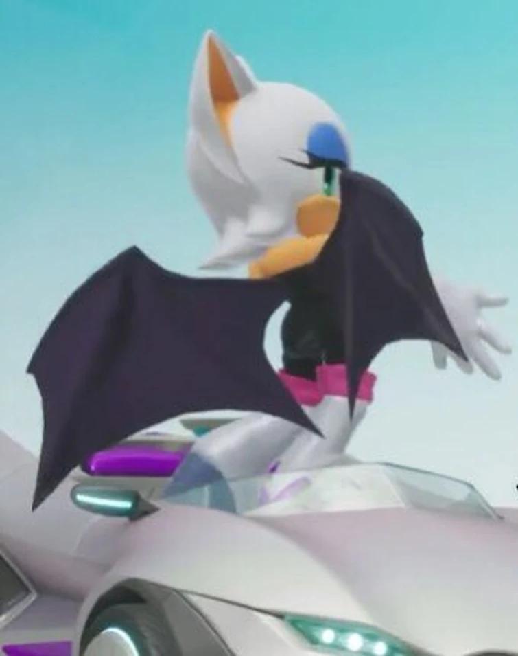Please Sega and Sonic Team Uncensored Rouge the Bat in Sonic Racing ...