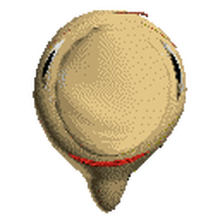 Discuss Everything About Baldi's Basics Wiki | Fandom
