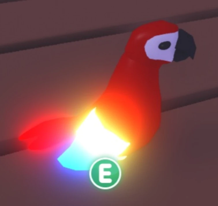 Pet shoutout #2 | Fandom