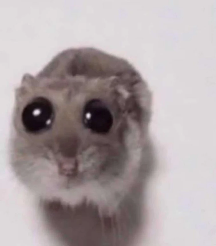 Yawns hi everyone- | Fandom