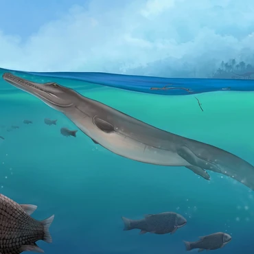 Discuss Everything About Dinopedia | Fandom