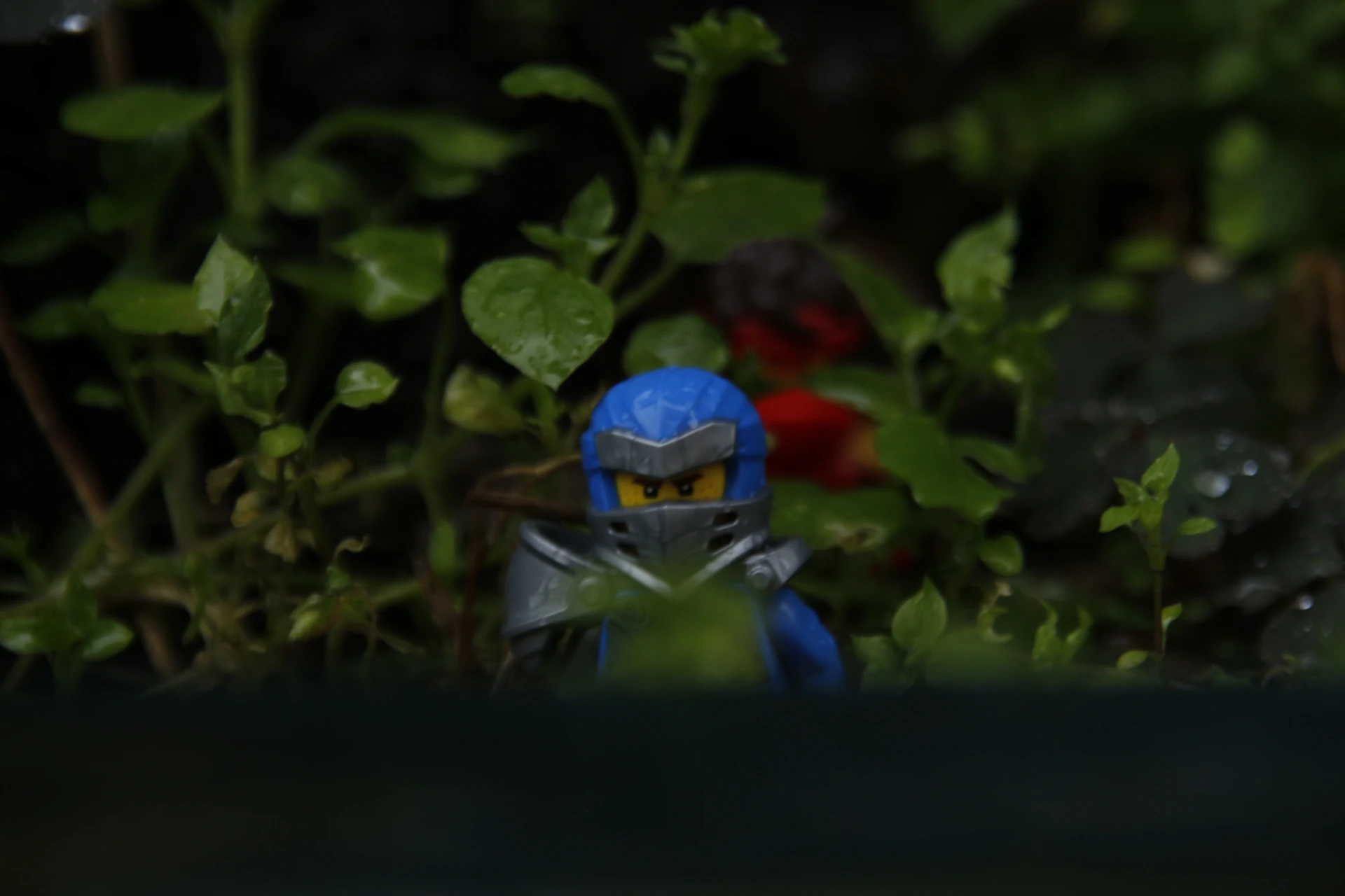 Posting a Lego photo (almost) everyday | Fandom