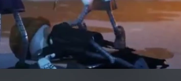 NOT THE FAMILY GUY FALL- | Fandom