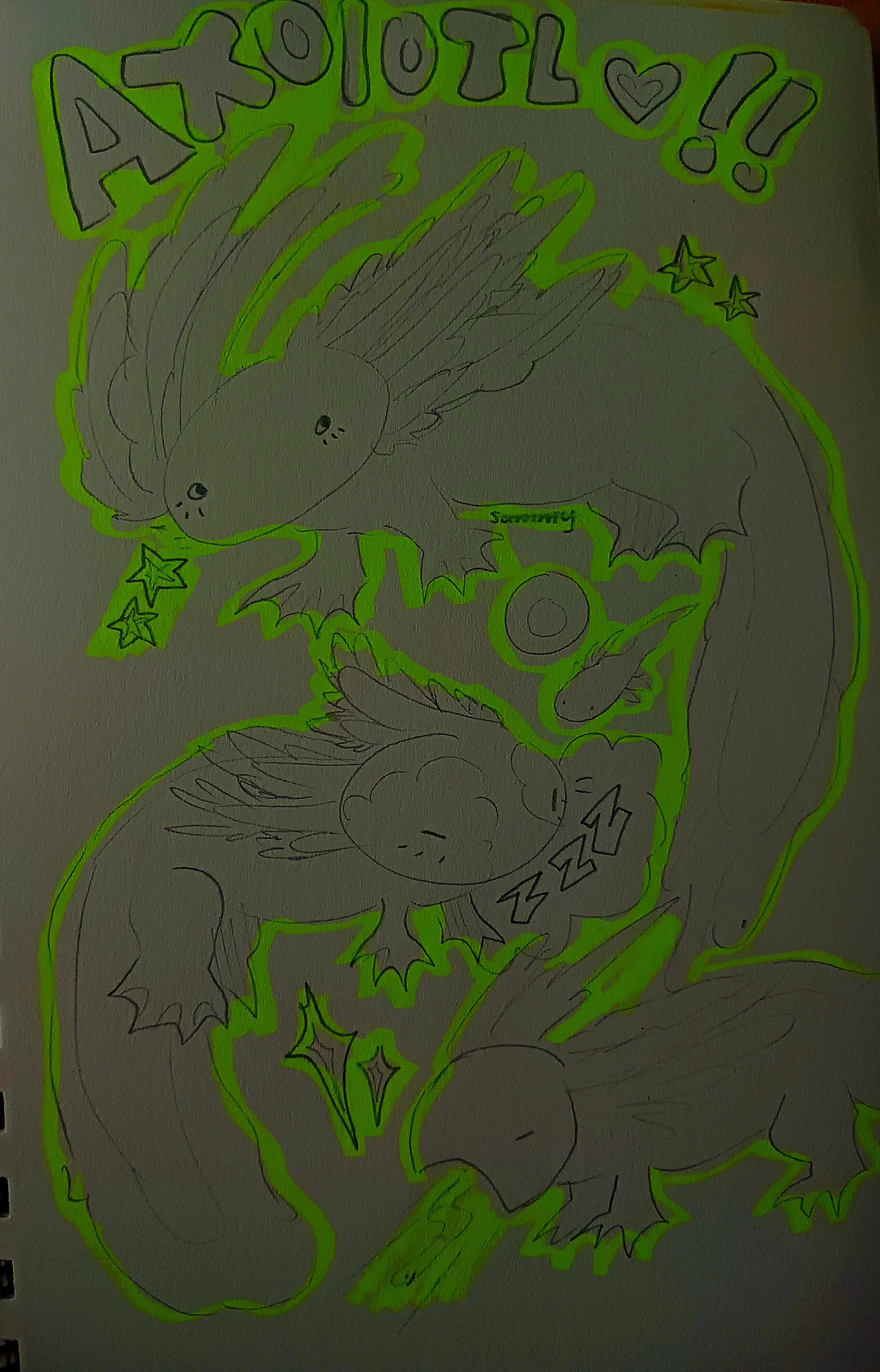 axolotls | Fandom