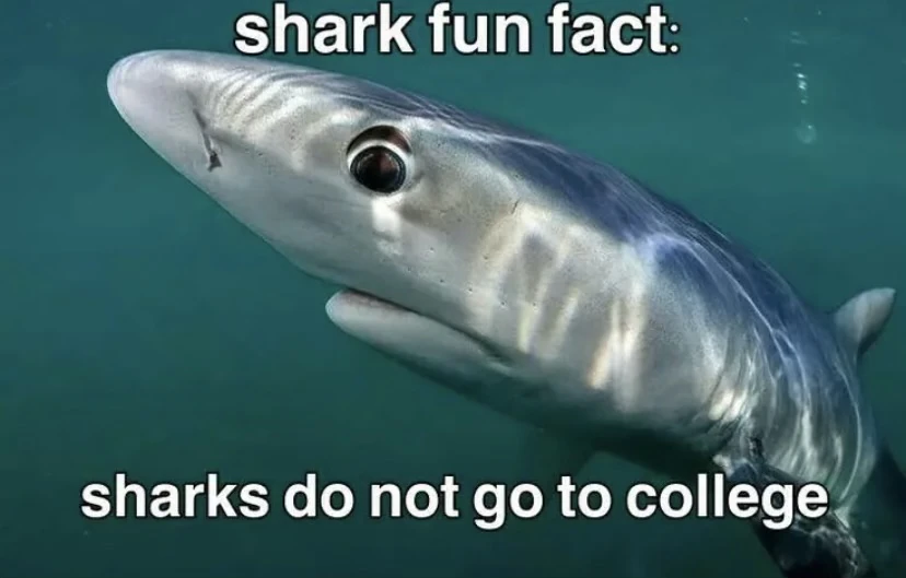 funny fish friday!!!!!! | Fandom