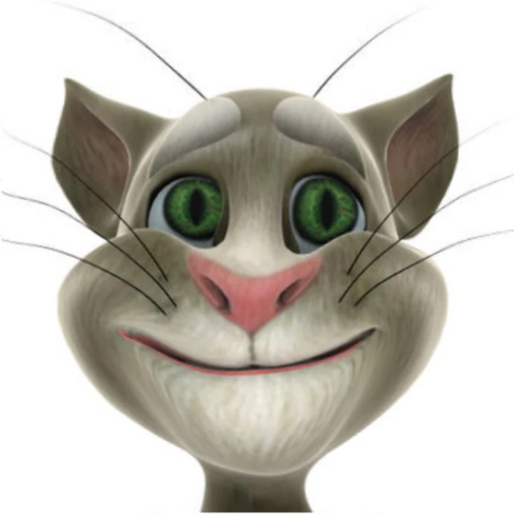 (Fake) Unused talking Tom cat icon | Fandom