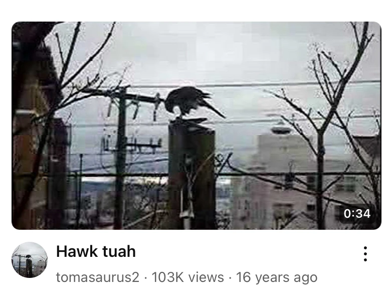 I’m sorry, WHAT!? (TW: Bird eats other bird, but nothing is shown ...