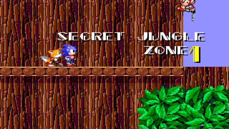 Discuss Everything About Sonic Wiki Zone | Fandom