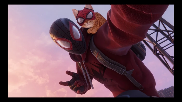 Miles and spider cat!! | Fandom