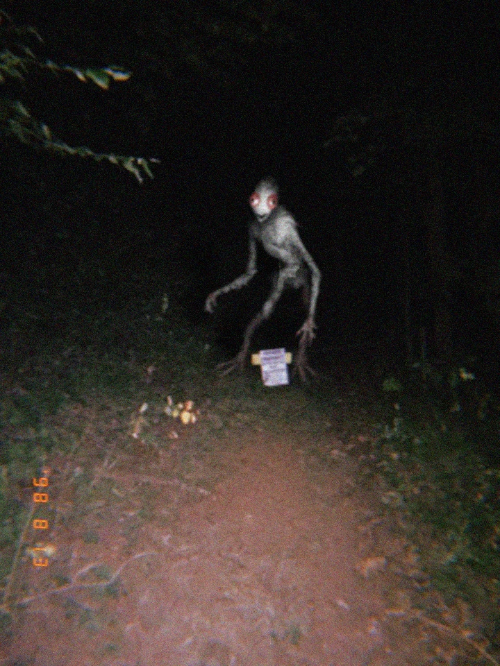 ghost chicken | Fandom