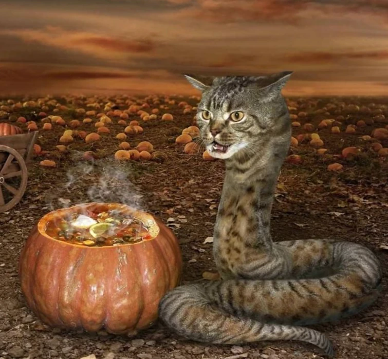 random stock images | Fandom