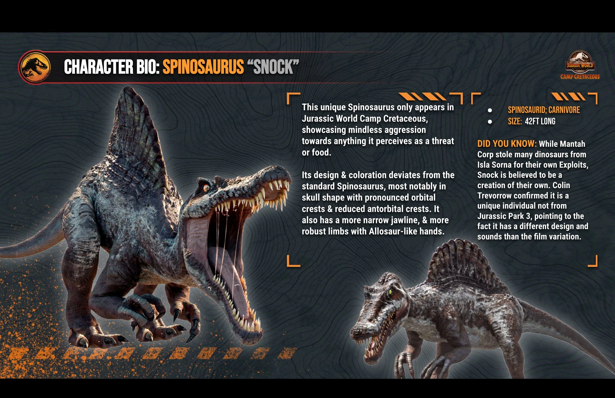 Spinosaurus name is Snock? | Fandom