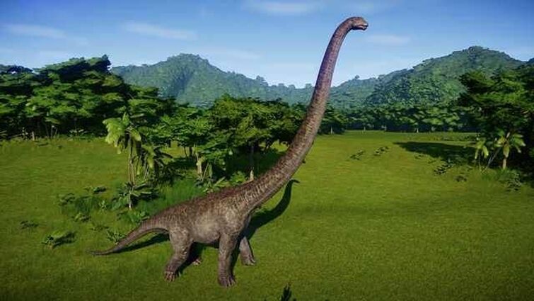 JWE Species Analysis | Fandom