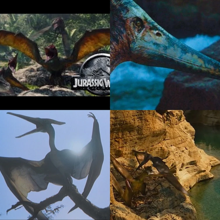What is happening to the appearances of the Pteranodons? | Fandom