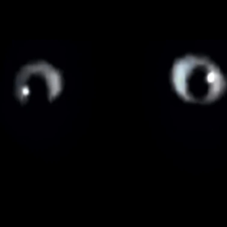 have u heard of yyyyyyy.info | Fandom