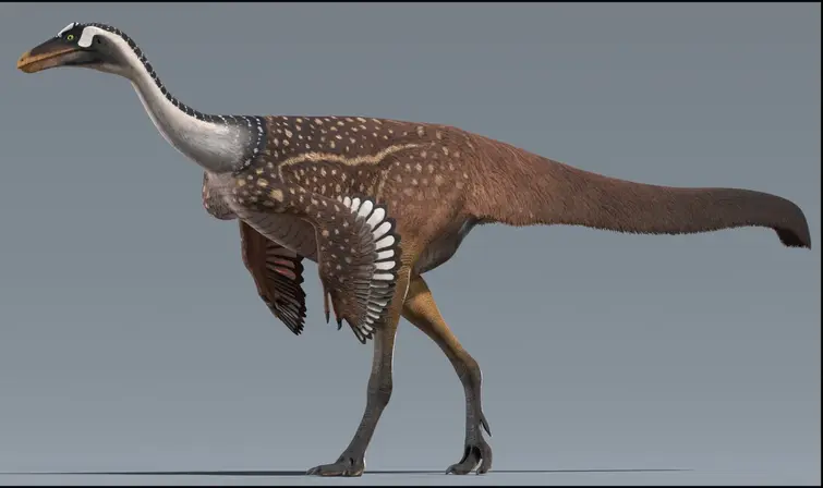 Duckhunt's Prehistoric Market, episode 7 | Fandom