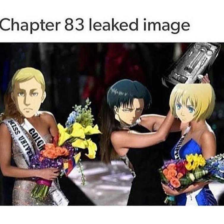 OMG I'm just searching some AoT Memes xD | Fandom