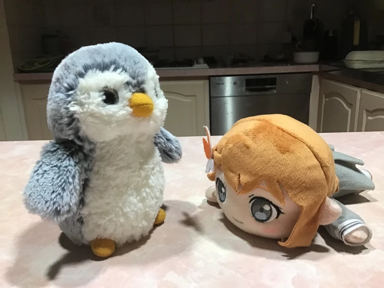 Minoneso has a new penguin friend! | Fandom