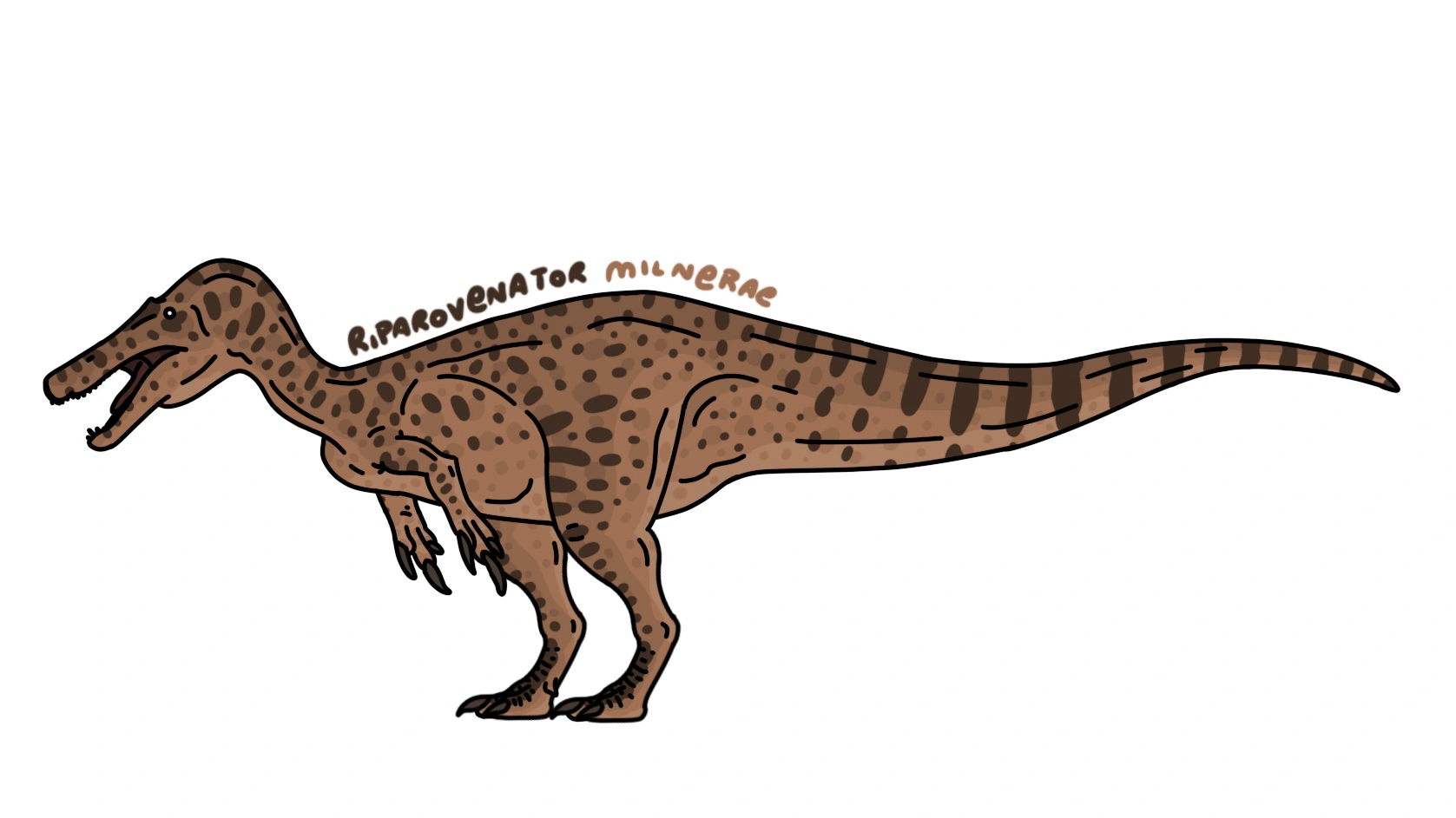 Riparovenator milnerae // Duke’s Collection (Spinosauridae pt5) | Fandom
