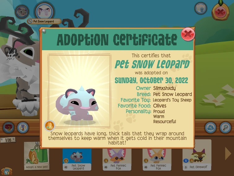 Eep just got my first snow leopard from token!! | Fandom