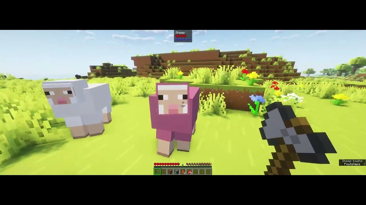 Found a pink sheep | Fandom